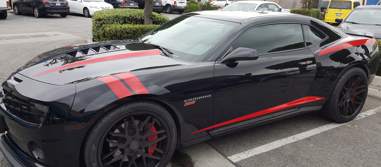 Vinyl Designs | xtremetint.com
